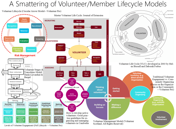 Organizational Biology | How organizations really work | Page 2